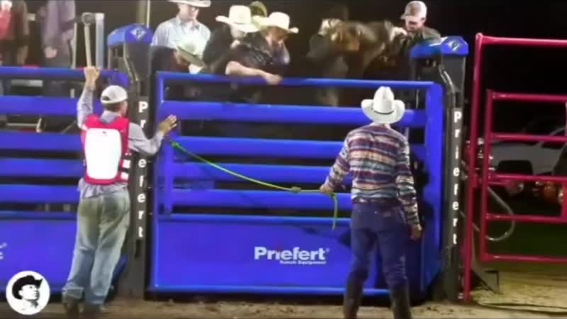 DJDonnieBrasco’s post